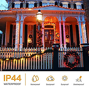 Marchpower C6 Christmas Lights,2-Pack Waterproof Outdoor Indoor LED String Lights,70 LED 23FT Durable Fairy Light Plug in Connectable Strawberry Light for Garden Trees Roofs Holiday Decorate,Red