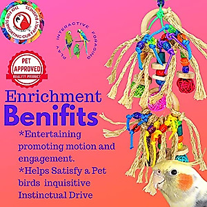 Bonka Bird Toys 1845 Pluck My Rings Colorful Natural Foraging Chew Wood Preen Sisal Vine Parrot Amazon African Grey Conure Rosetta Cockatiel Parakeet
