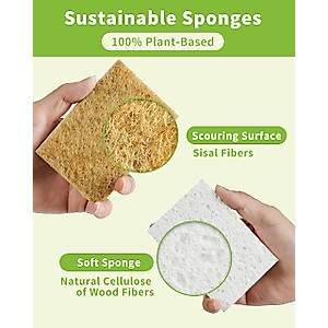 Biodegradable Natural Kitchen Sponge 12Pack, Compostable Cellulose and Coconut Walnut Scrubber Sponge