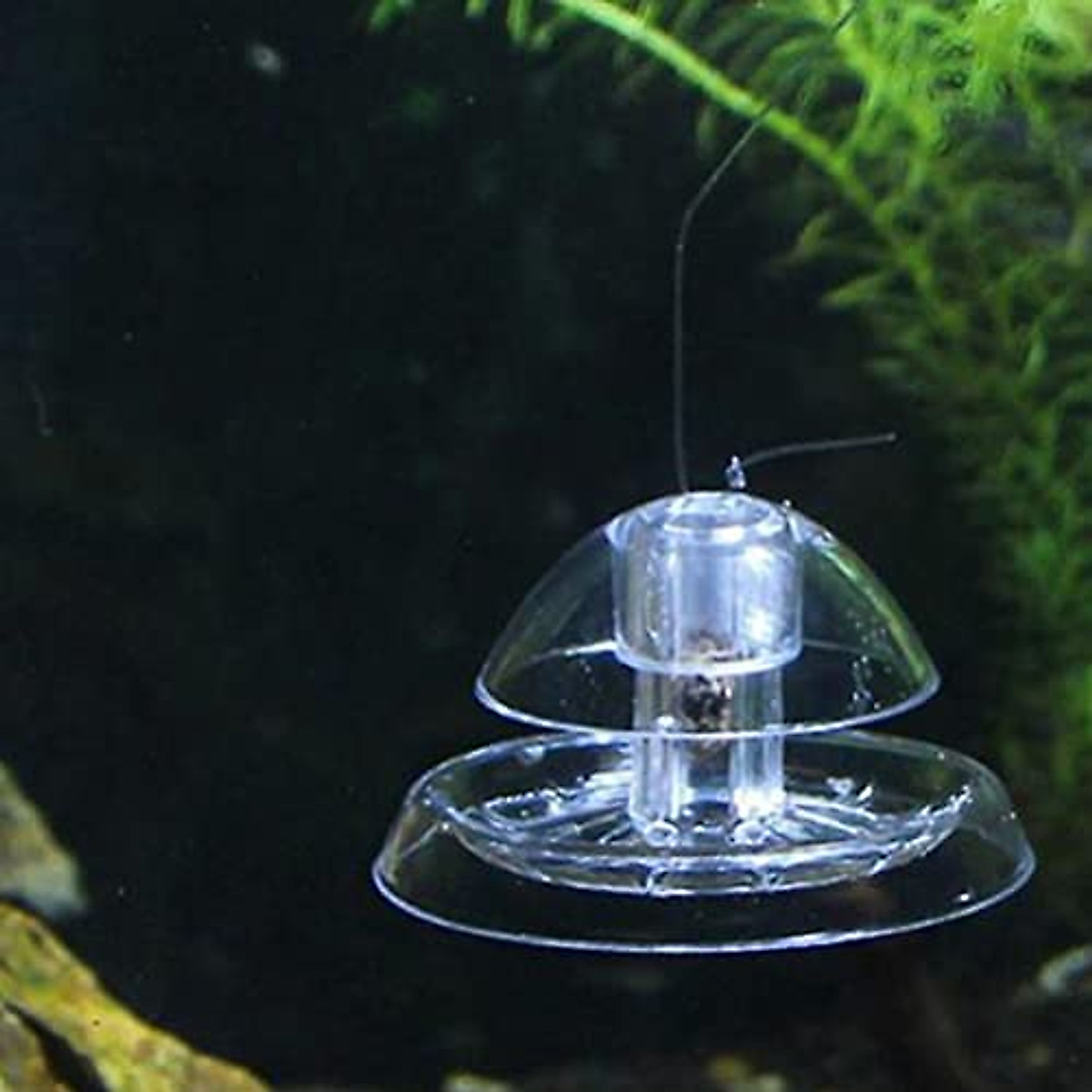balacoo 2Pcs Transparent Snail Catchers Aquarium Leech Traps Leech Catchers Aquarium Accessory