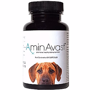 AminAvast Kidney Support Supplement for Cats and Dogs, 1000mg - Promotes Natural Kidney Function - Aids in Health and Vitality of Aging Kidneys - Easily Administered - 60 Sprinkle Capsules
