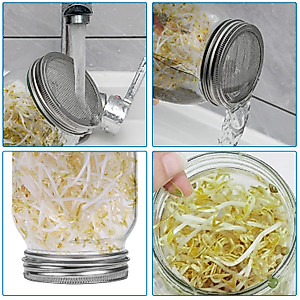 Lulonpon 2 Sprouting Jar Kit, Wide Mouth Quart Mason Jars with Stainless Steel Screen Sprout Lids, 86mm,1000ml,Stand,Tray and Canning Brush,Seed Sprouter Set for Growing Broccoli, Alfalfa, Mung Bean