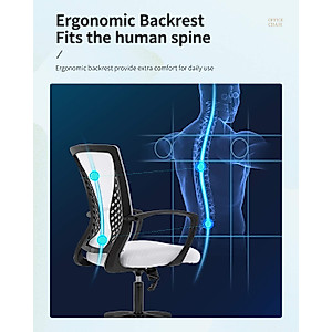 Home Office Chair Mid Back PC Swivel Lumbar Support Adjustable Desk Task Computer Ergonomic Comfortable Mesh Chair with Armrest (White)
