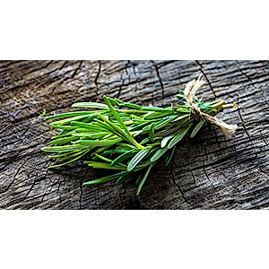 Gaea's Blessing Seeds - Rosemary Seeds - Heirloom Non-GMO Seeds with Easy to Follow Instructions 97% Germination Rate (Single Pack)