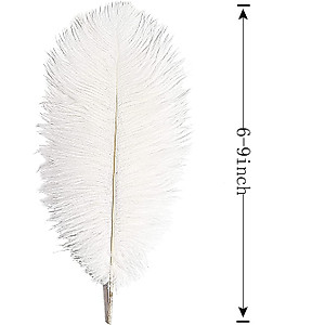 TBUY ROSE 6-9 inch 15-20cm Natural Ostrich Feathers Bulk for Christmas Halloween Home Party Wedding Centerpieces DIY Craft, 20 Pack (White)
