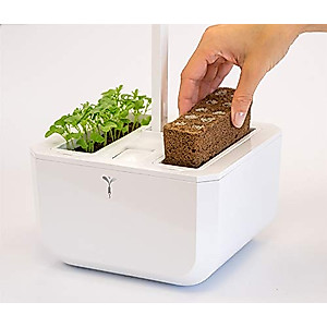 Véritable® EXKY Classic (White) - Indoor Vegetable Garden Made in France - Smart Autonomous Garden Delivered with 2 Lingots®