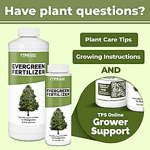 Evergreen Tree Fertilizer for All Conifer Trees and Shrubs, Liquid Plant Food 32 oz (1 Quart)