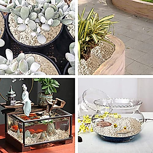 Halatool 2 QT Perlite 3-6 mm Horticultural Organic Perlite Bulk for Plants Natural Potting Soil Mix Additive for Indoor & Outdoor Planting