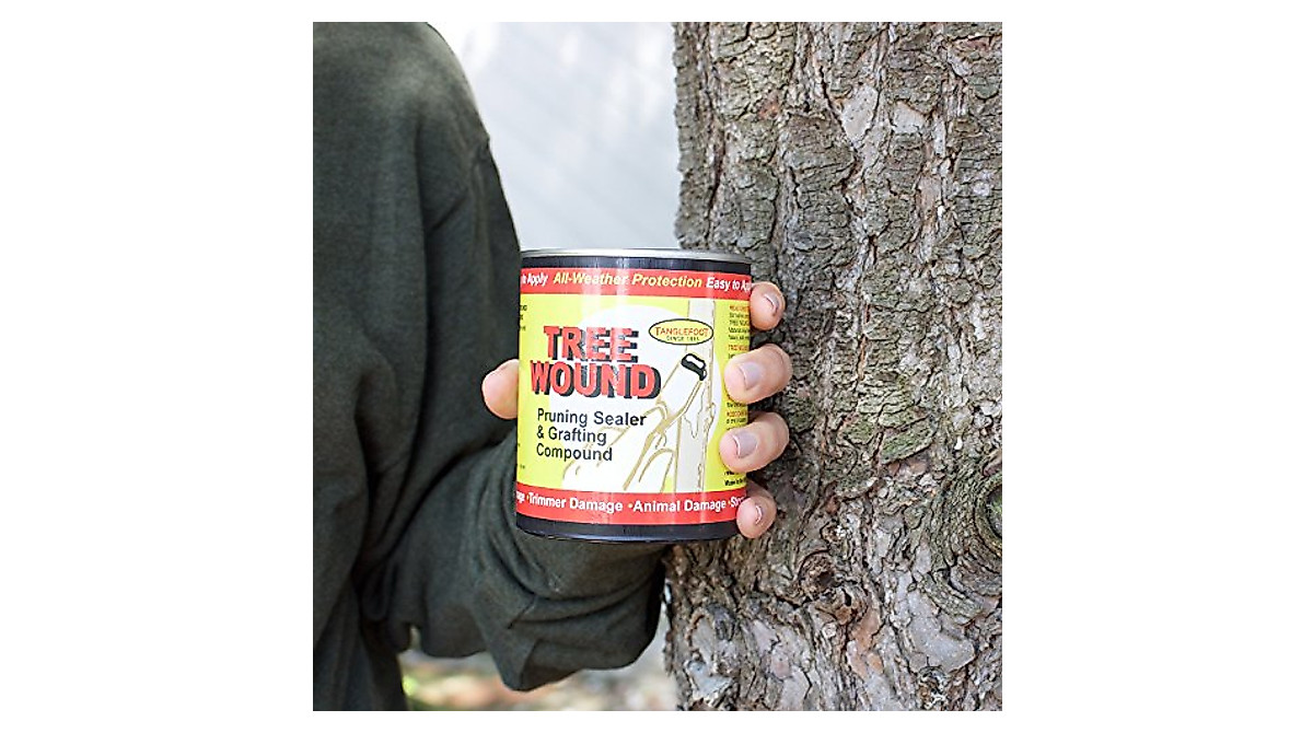 Tanglefoot Tree Wound Sealer: Protect & Heal Trees