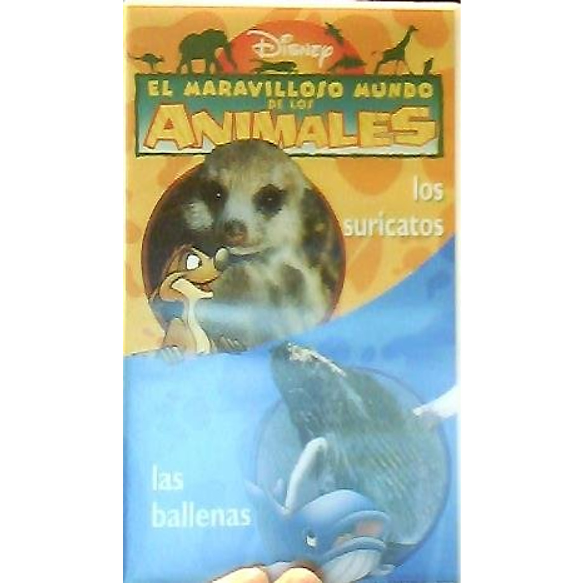 El Maravilloso Mundo De Los Animales: Los Suricatos Las Ballenas