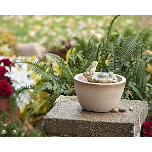 Foreside Home and Garden Multicolor Ceramic Frog Indoor Water Fountain with Pump