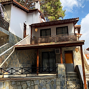 Wasp Nest Decoy - 2 Pack - Hanging Fake Wasp Nest