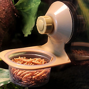 2 Pack Reptile Feeder Gecko Lizard Feeding Cup with Suction Cup, Reptile Food Water Feeder Dish with 6 pcs Cups for Geckos,Chameleon Lizard (Single)