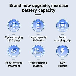 Palowextra Rechargeable D Batteries Ni-MH 1.2V 8000mAh D Size Battery Cell with Storage Case, 6 Pack