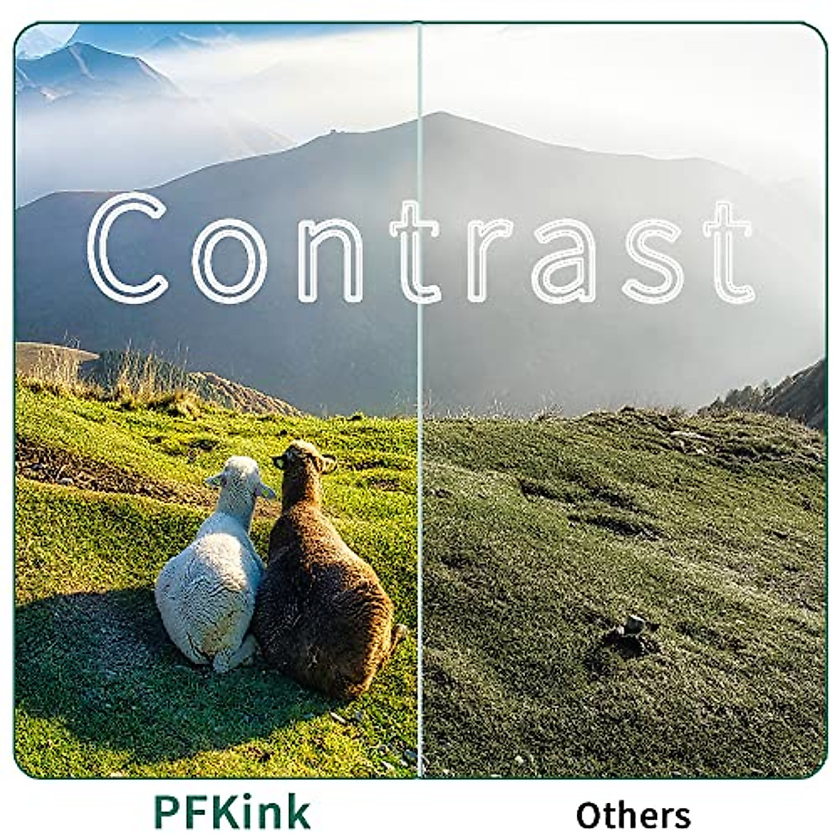 PFKink 245XL Black Ink Cartridge Replacement for Canon PG-245 PG-245XL PG 245 245XL 245 XL PG-243 Used in Canon PIXMA MX492 MX490 MG2920 MG2420 MG2520