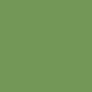 Pantone TPG 8.5X11 Sheet 16-0233 Meadow Green