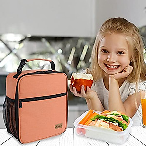 CCidea Lunch Box for Men Women Adults, Portable Insulated Lunch Bag for Office Work Picnic, Reusable Small Bento Lunch Box (Inulin)