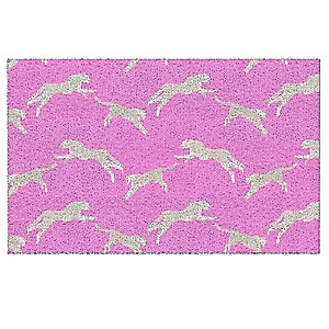 LUVADIAN Trendy Hot Pink Preppy Leopard Door Mat - Pink Welcome Mat, Pink Door Mat Doormat Outdoor Indoor Entrance, Preppy Room Decor Teen Girls, Pink Dorm Decor, 17x30 Inch （Permeable Bottom）