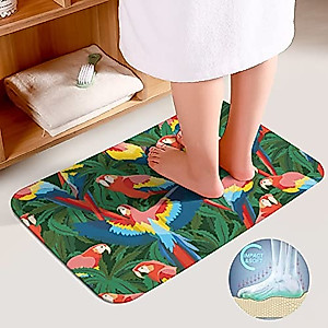 Parrot Bath Mat Set, Soft Comfortable Bathroom Rugs for 3 Pieces, Non-Slip Toilet Mats, Easier to Dry for Floor Mats 15.7"x23.6"