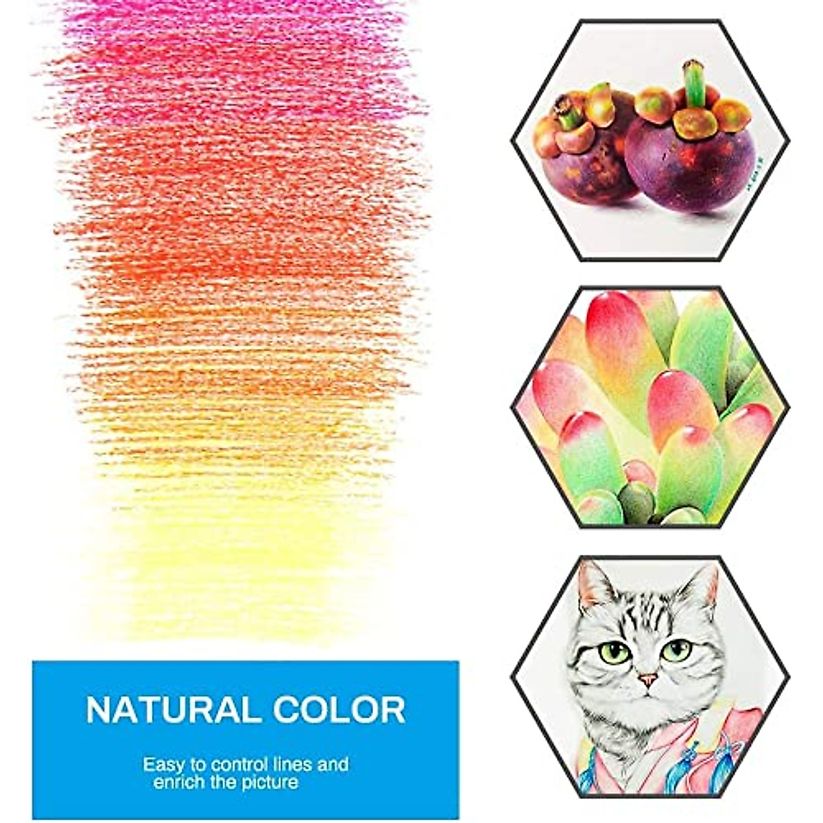 ARZASGO 36 Colored Pencils Set, Artist Coloring Pencils for Adult Coloring Books, Artist Sketch, Premier Drawing Pencils with Canvas Roll-up Pouch Bag and Pencil Sharpener