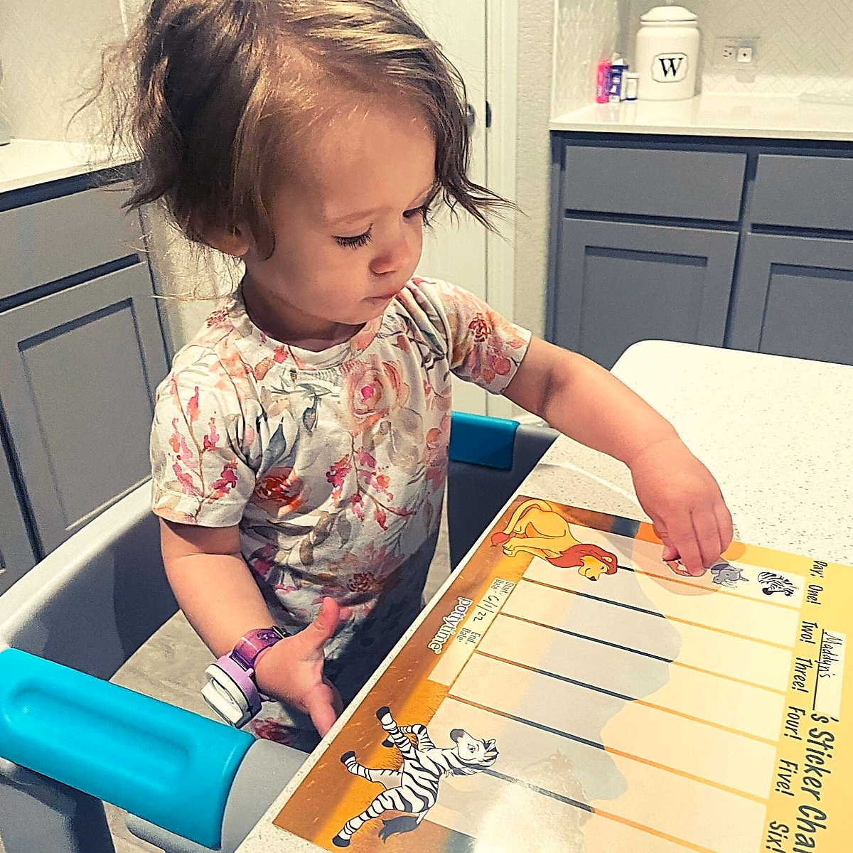 Potty Training Sticker Chart | Includes 4-Weekly Charts + 144 Adorable Themed Stickers | USA Made from The Creators of The Original Potty Watch (Pond)