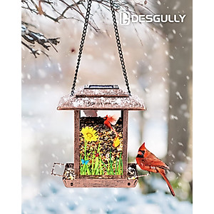 DesGully Bird Feeders for Outdoors Hanging - 2.5 LBs Wild Birds Metal Solar Bird Feeder for Outside Gift Ideas for Bird Lovers Garden Yard Bird Seeds (Chew-Proof,Weather Resistance)