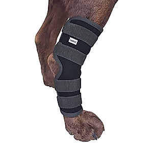 Labra Dog Extra Supportive Canine Rear (Hind) Leg Hock Joint Compression Wrap for Recovery, Protection, and Sprain and Injury Prevention, Ankle Brace with Knee Support for Dogs - Large
