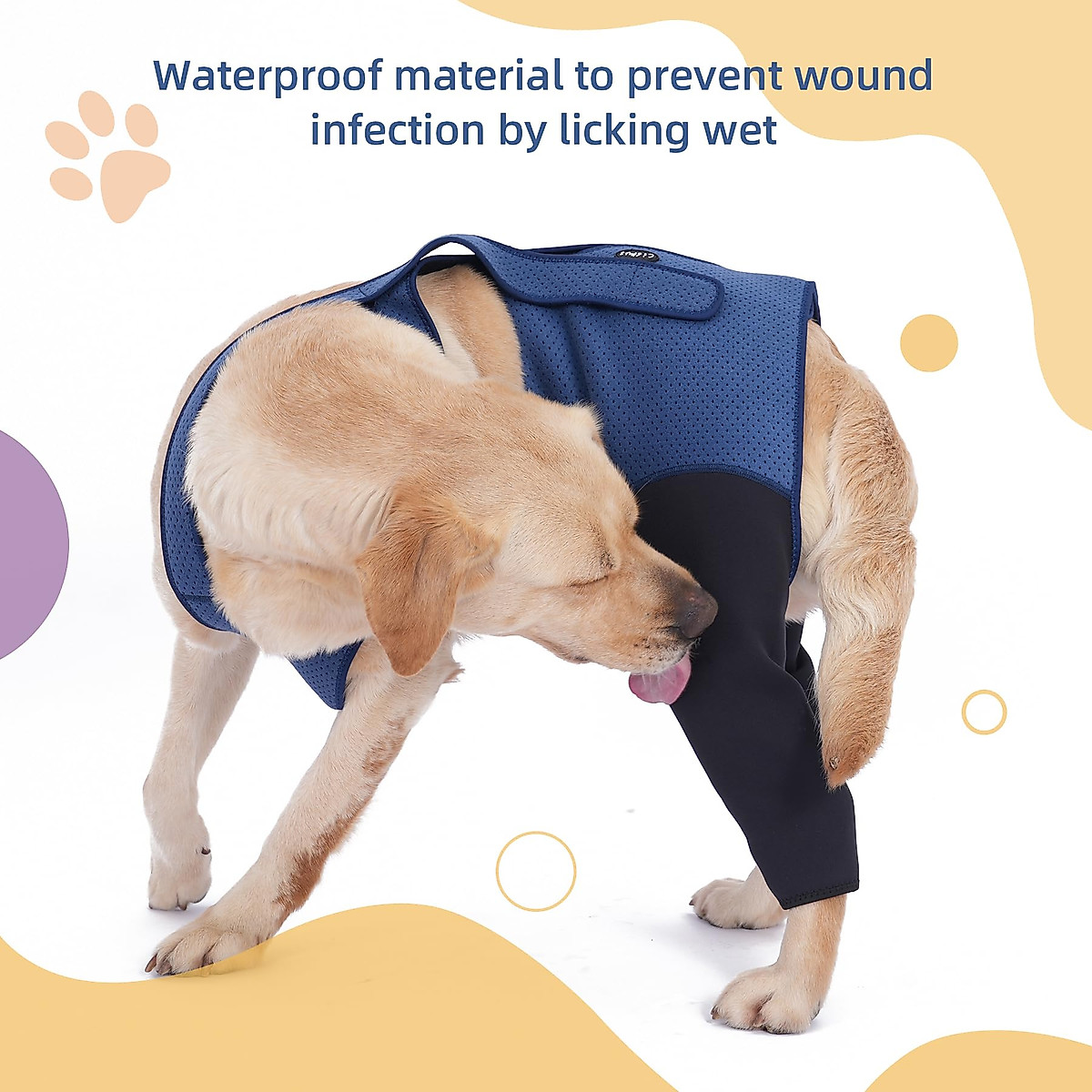 Dog Hind Leg Recovery Sleeve Dog Recovery Suit as Cone Collar Alternative, 2.5mm Thick and Waterproof, Prevent Pet Wounds Licking, Biting (XLarge)