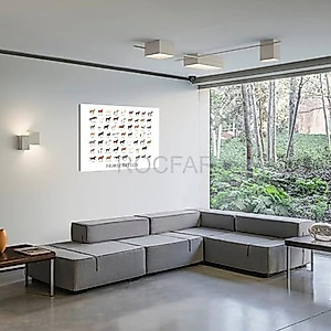 ROCFAR Horse Knowledge Poster World Horse Breeds Horse Care Retro Poster School Classroom Country Farm Canvas Poster Bedroom Decor Office Room Decor Gift Frame-style 20x16inch(50x40cm)