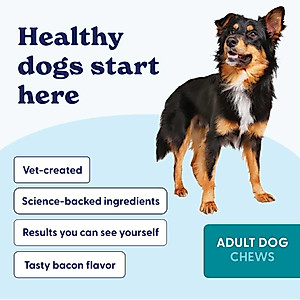 Origin Labs Adult Dog Multifunction Support, Omega 3 Supplement, Gut Health Probiotics, Immune Support, Heart, Skin, Liver, Brain, Joint Health, Glucosamine Chondroitin, Bacon Flavor, 90 Soft Chews