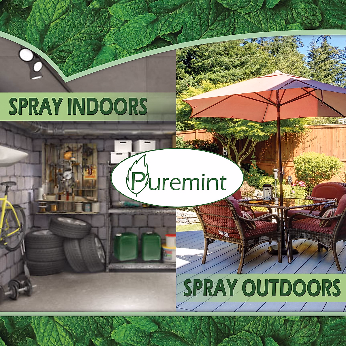 Puremint Spider Repellent, Natural 5% Peppermint Oil Spray, Kills & Deters All Types of Spiders and Insects, Indoor and Outdoor Use, 128 fl oz Gallon