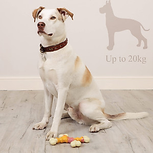 Dog Toy, Tough Nylon Cross Bone Toy, Durable TPR Bacon & Maple Syrup Scented Dental Chew Toy for Medium Large Breed Dogs