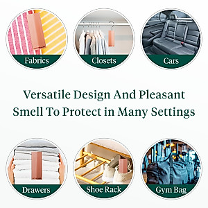 Catcher Labs Cedar Planks for Moth Repellent | Cedar Blocks for Clothes Storage | Better Than Moth Balls for Closet | Cedar Hangers Clothes Moths (10-Pack)