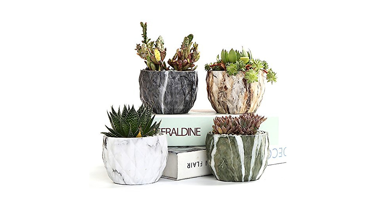 Modern Ceramic Flower Pots Set for Succulent Plants