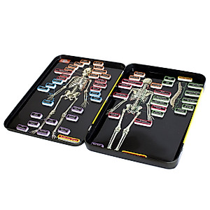 T.S. Shure The Human Skeleton Magnetic Science Tin Stem Activity
