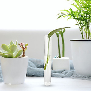 120Pcs Plastic Test Tubes with Lids and Rack, 16x100mm(10ml) Test Tubes with Cap and Holder Rack, Test Lab Tube for Scientific Experiments, Candy, Beads, Liquid Storage, Party Decor