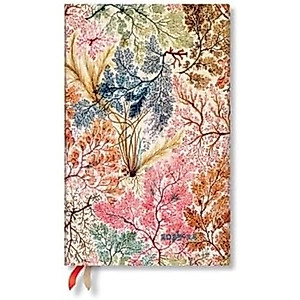 Paperblanks 18 Month Diaries 2023-2024 Anemone | Vertical | Maxi (135 × 210 mm)