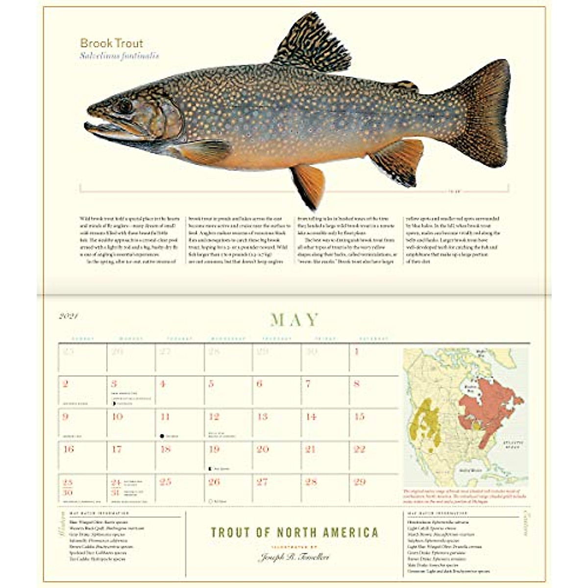 Trout of North America Wall Calendar 2021