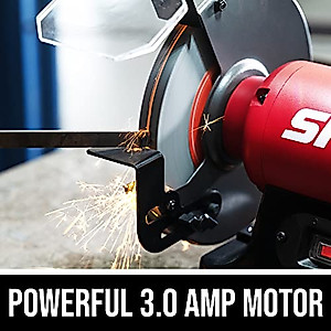 SKIL 3.0 Amp 8 In. Bench Grinder with Built-in Water Cooling Tray & LED Work Light - BI9502-00