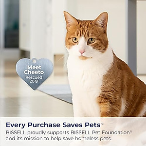 Bissell Simply Spot & Stain Portable Carpet Cleaner Formula, 32 oz, 3368