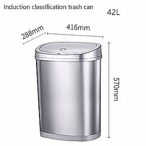 WENLII Double Classification Sensor Trash Can Smart Stainless Steel Can Auto Sealing Cover Garbage Classification Bins 30/42L (Size : 42L)