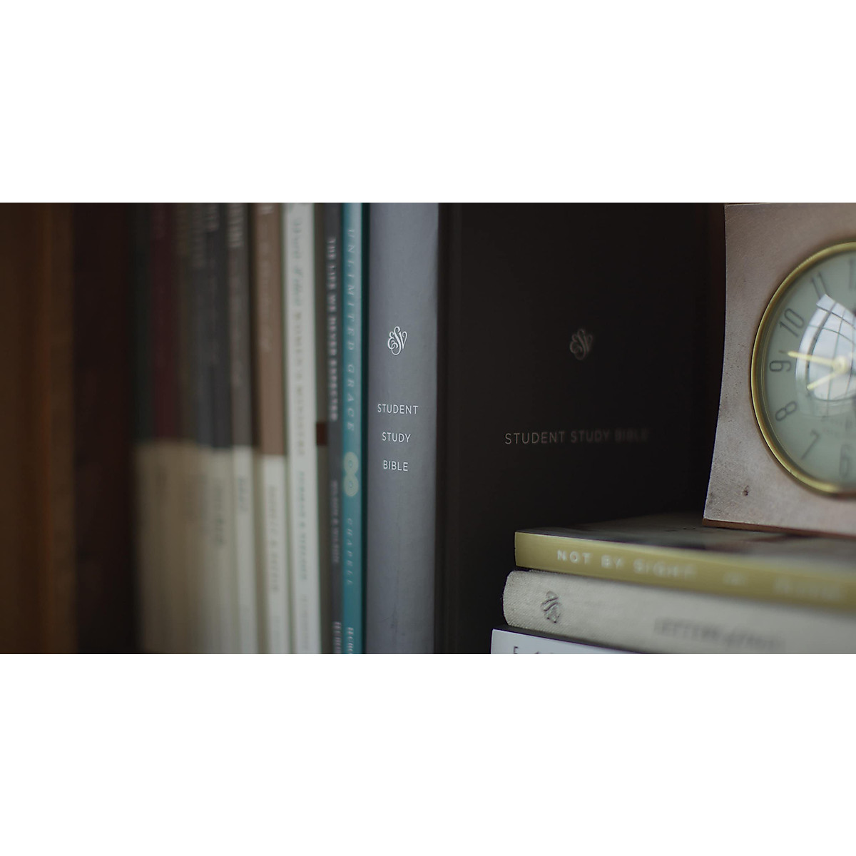 ESV Student Study Bible (Hardcover, Gray): Holy Bible, English Standard Version