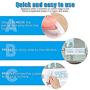 SEEKBIT 20 Pack Sticky Window Fly Traps for House, Clear Bug Killer Indoors, Fly Catcher Sticky Trap for Gnats, Ladybugs, Houseflies Glue Traps Keep Flying Insects Away