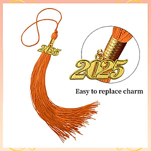 Herrenbek Matte Adult Graduation Cap with 2024 2025 Tassel Unisex Adjustable Graduation Cap Orange