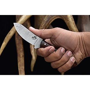 Knives Ranch Damascus Skinning Knife, Fixed Blade Hunting Knife with Rosewood Handle and Heavy-Duty Dual Horizontal/Vertical Sheath (3129-IRW)