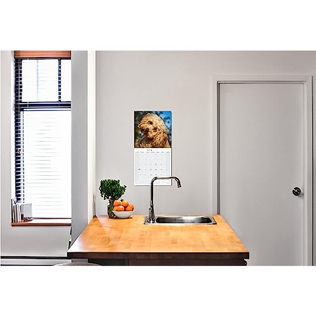 2023 2024 Cavapoo Calendar - Dog Breed Monthly Wall Calendar - 12 x 24 Open - Thick No-Bleed Paper - Giftable - Academic Teacher's Planner Calendar Organizing & Planning