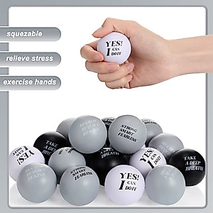 Zomiboo 20 Pieces Motivational Stress Balls Foam Balls Quote Stress Relief Ball Inspirational Relief Balls Hand Exercise Balls for Kids Relieve Motivating Encouraging Adult(Classic Color)