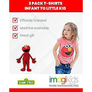 Sesame Street Elmo Cookie Monster Big Bird Baby Girls 3 Pack T-Shirt 18 Months Pink/Blue