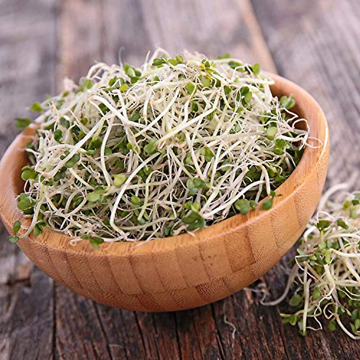 Organic Broccoli Sprouting Seeds By Handy Pantry | 1 Pound Resealable Bag| | Non-GMO Broccoli Sprouts Seeds, Contain Sulforaphane