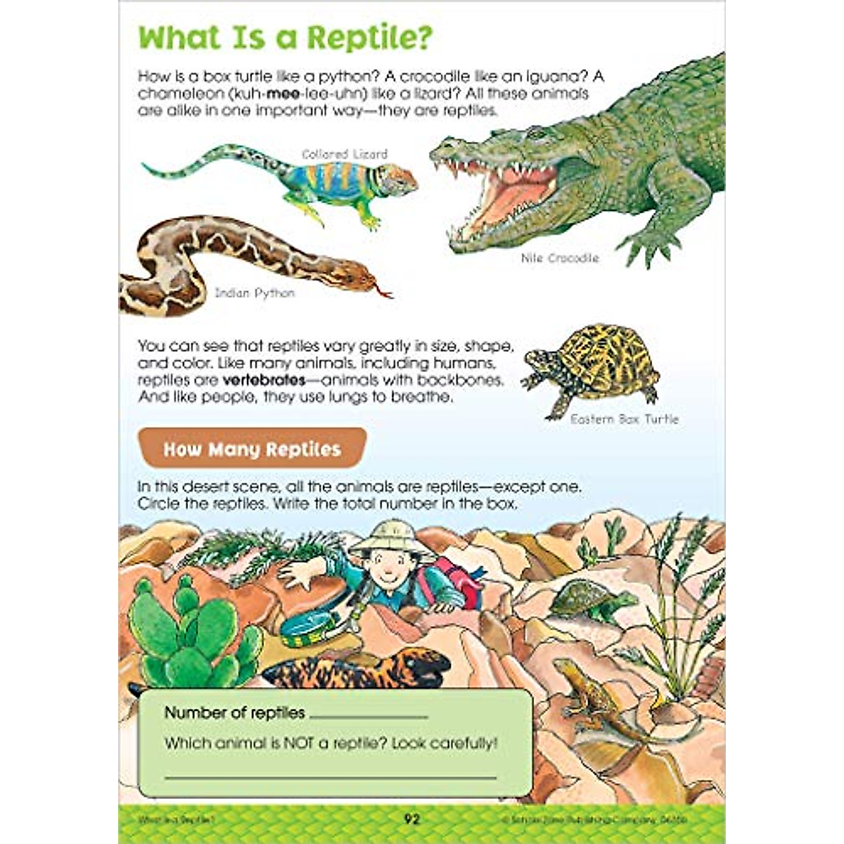 School Zone - Big Science Workbook - 320 Pages, Ages 7 to 9, 2nd Grade, 3rd Grade, Weather, Seeds, Plants, Insects, Mammals, Ocean Life, Birds, and More (School Zone Big Workbook Series)